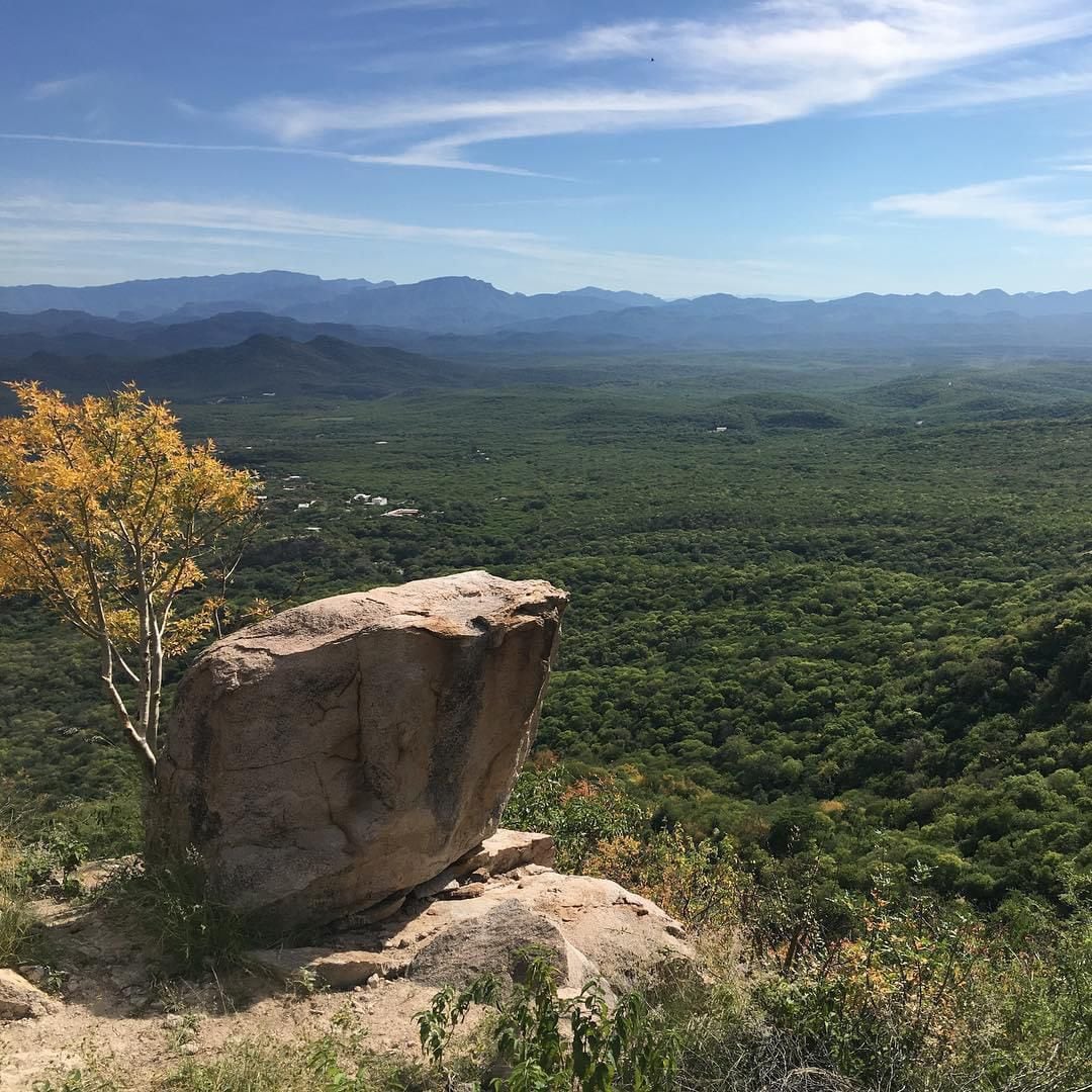 Parque La Colorada es un pequeño paraíso dentro de Álamos | Noticias de ...