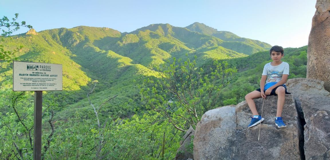 Parque La Colorada es un pequeño paraíso dentro de Álamos | Noticias de ...