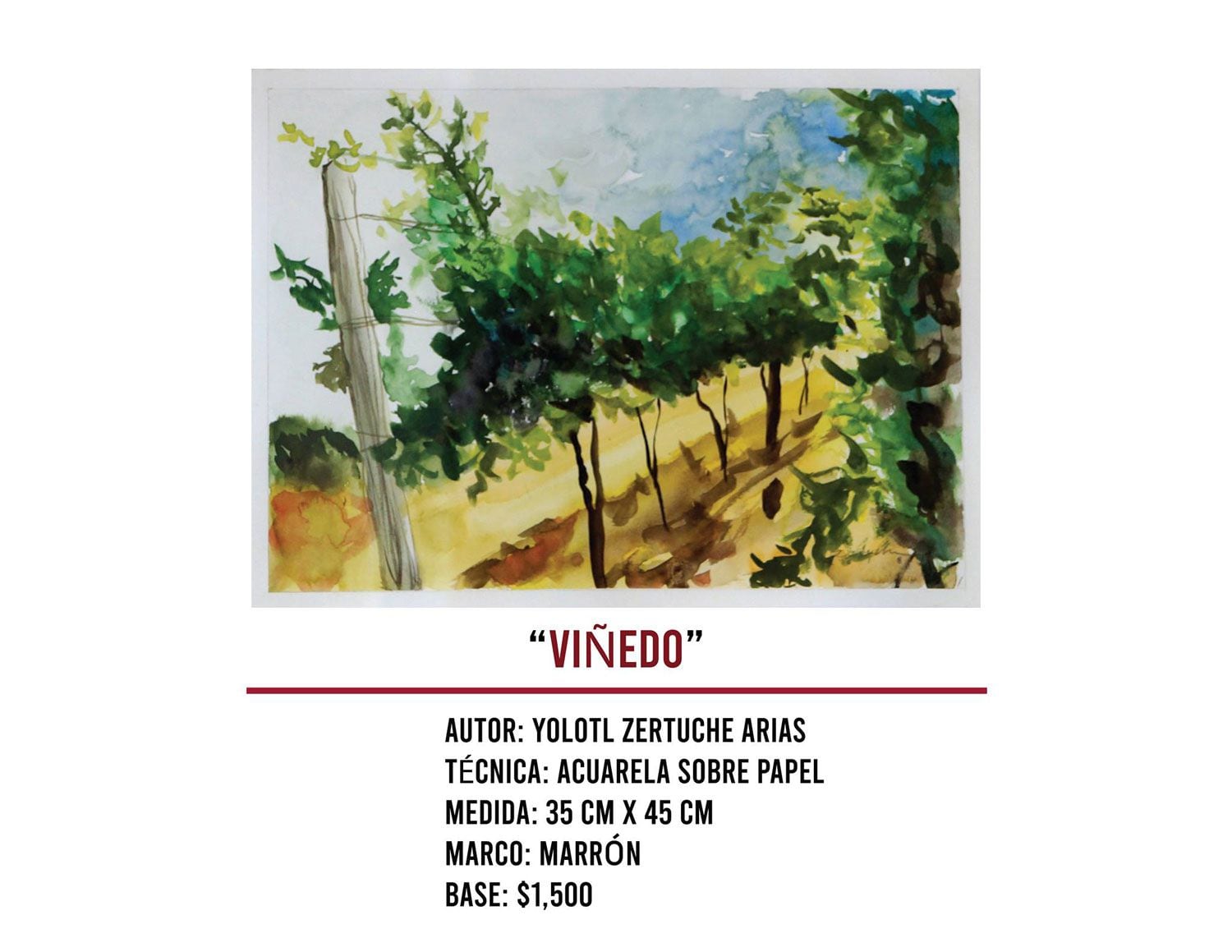 Invitan a 'Subasta entre copas' en UABC Ensenada | Noticias de Tijuana ...