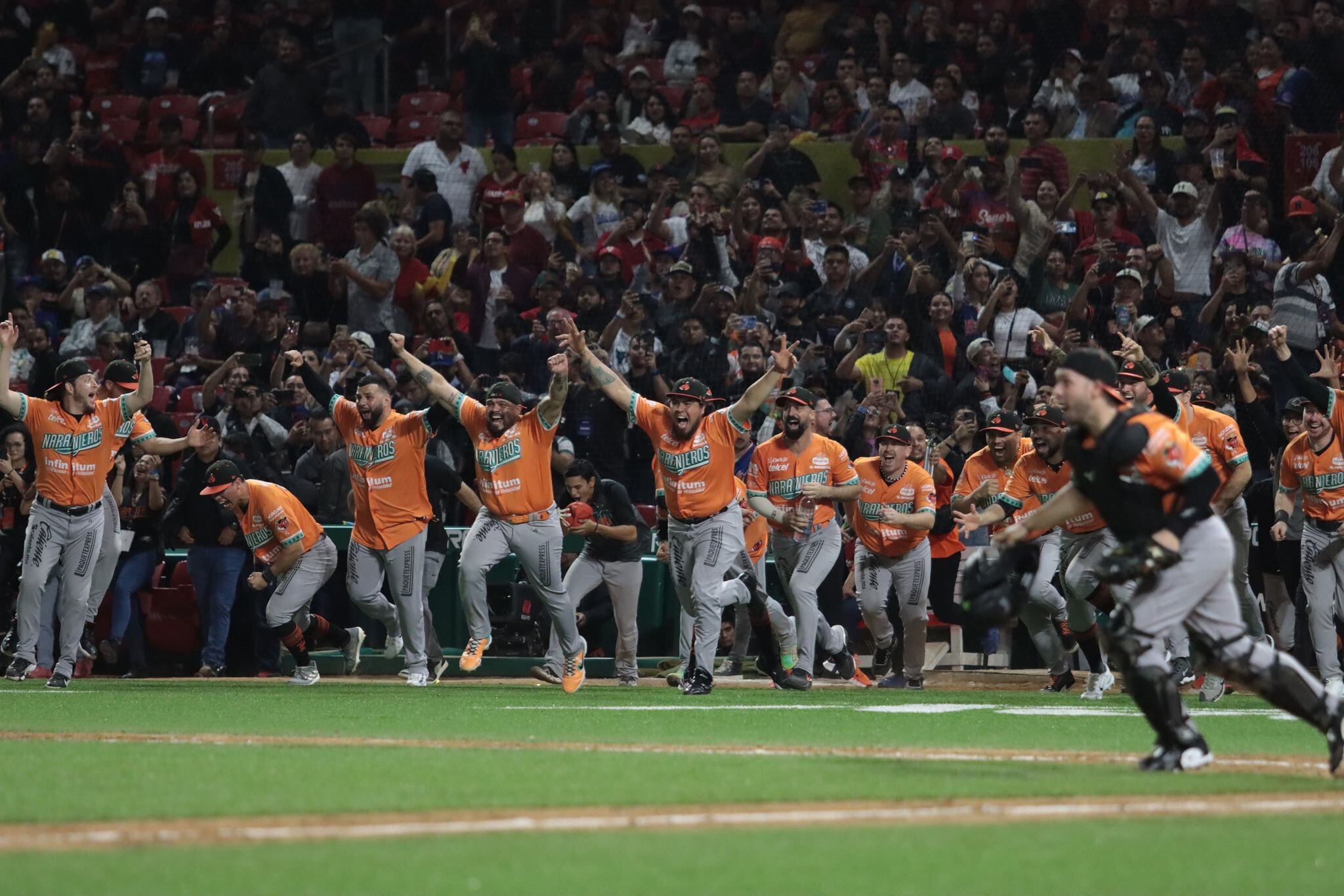 ¡Naranjeros campeones de la Liga Mexicana del Pacífico! | Noticias de ...