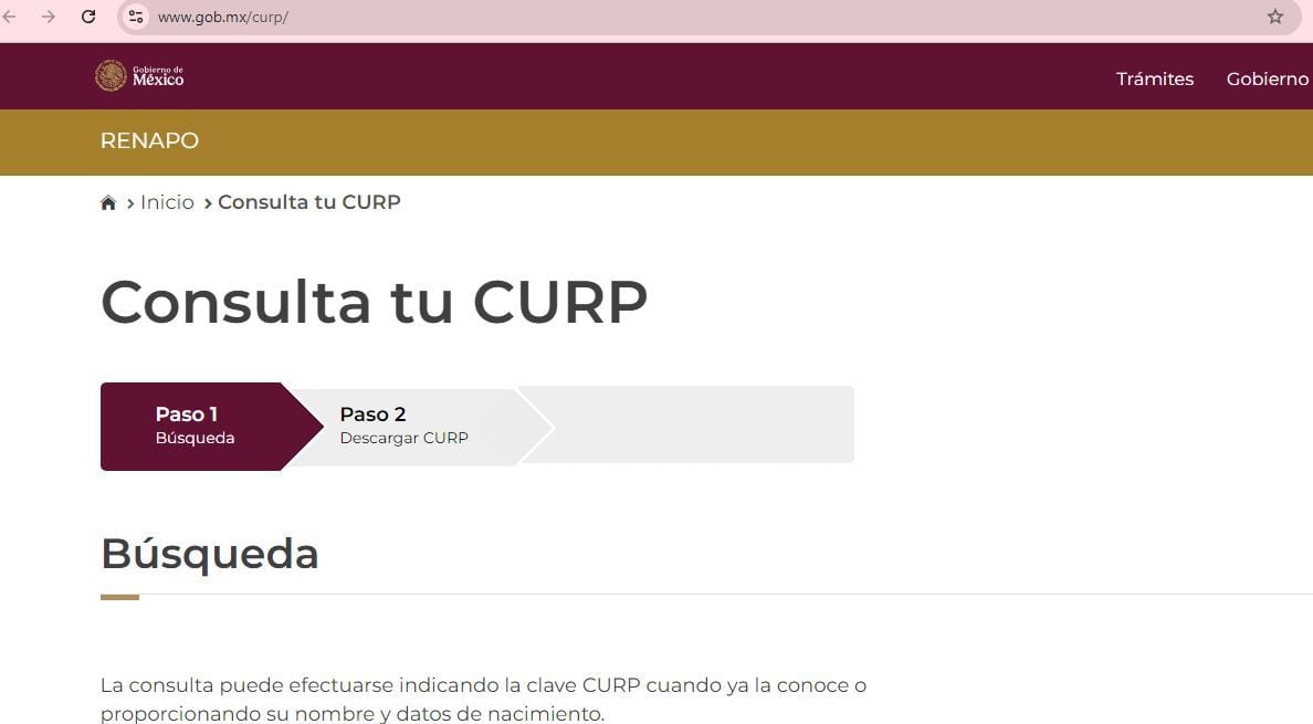 Consultar Curp En Lnea Curp Actualizado 2020 Guía Para Consultar Una
