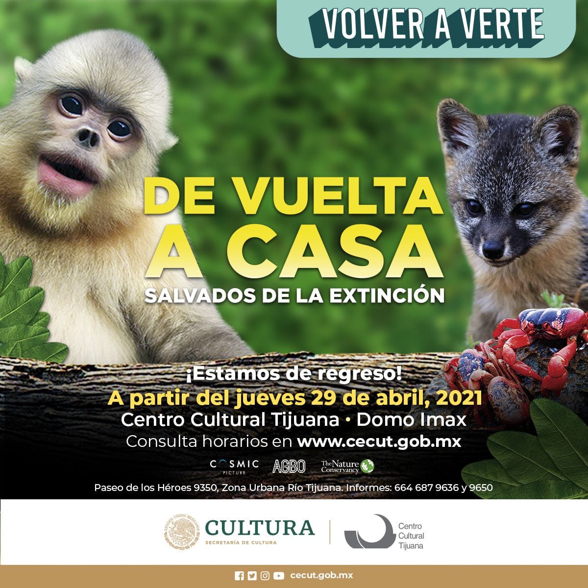 Reabre Cecut Domo IMAX para celebrar el Día del Niño y de la Niña ...