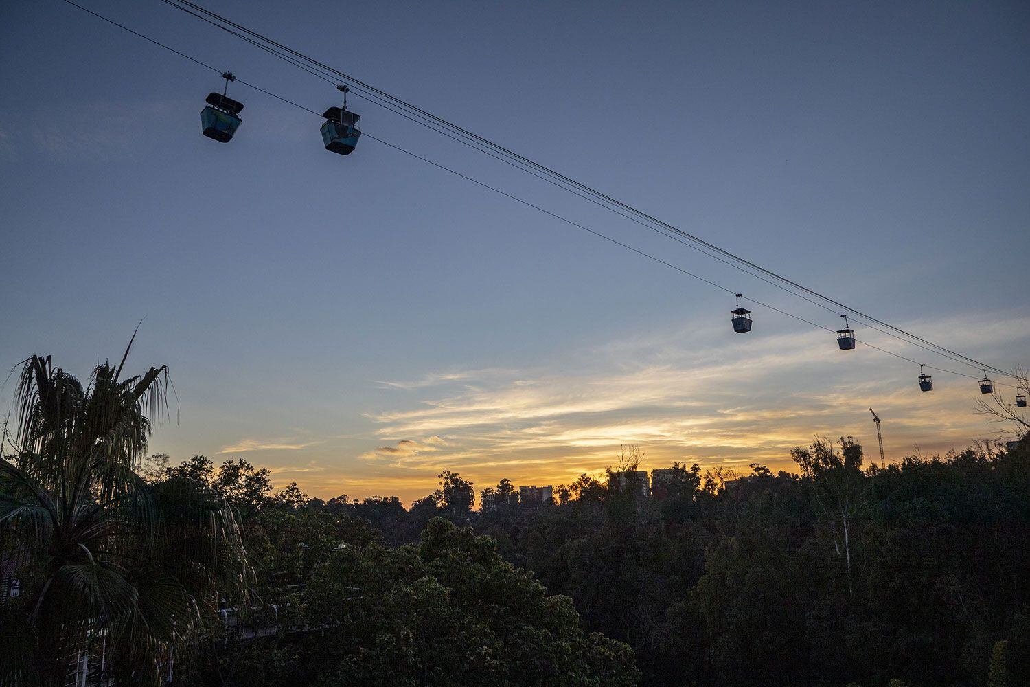 Regresa este verano 'Nighttime Zoo' al San Diego Zoo | Noticias de ...