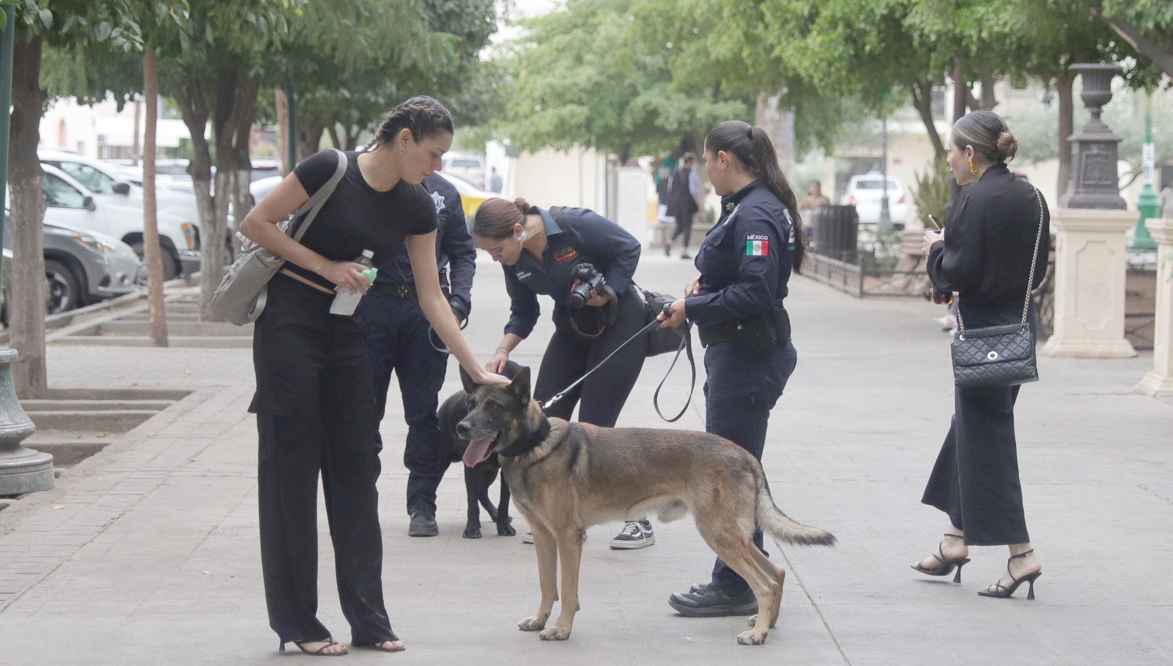 ¡Misión cumplida! Cuatro elementos K9 de la PESP Sonora se jubilan y ...