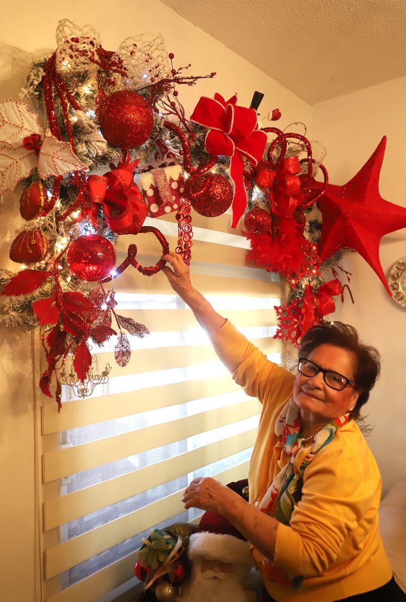 Virginia viste de Navidad árboles y casas en Hermosillo ¡Por puro gusto ...