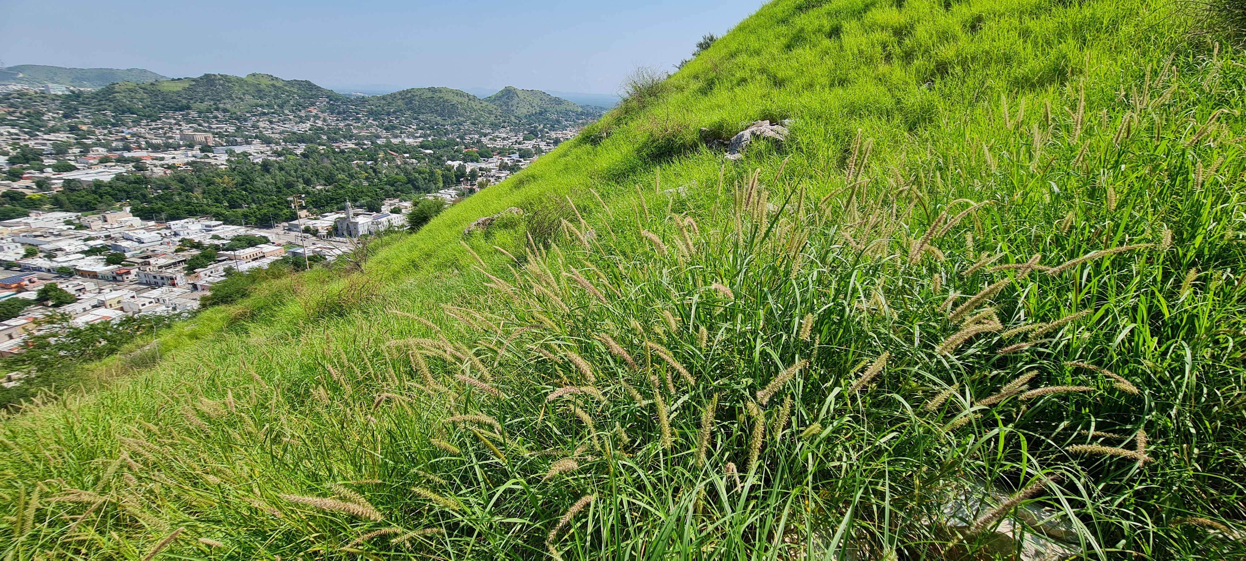 Hermosillo reverdece y da la otra cara del desierto | Noticias de ...